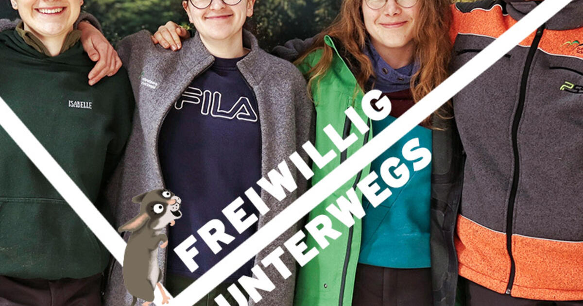 Wir stellen uns jetzt mal vor - die neuen Freiwilligen 2023/2024