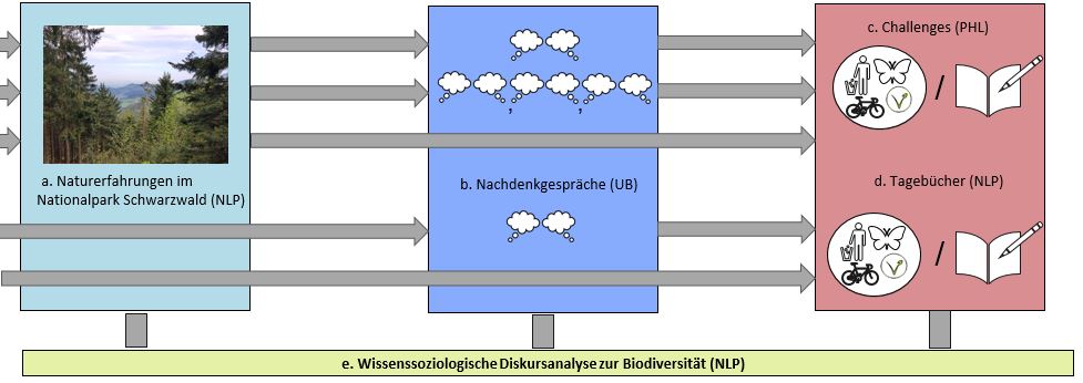 Von der Einsicht zum Handeln